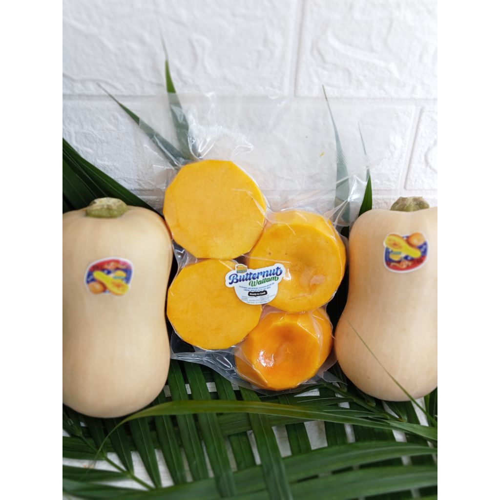 Jual Labu Butternut Waltam Manis Super / butir | Shopee Indonesia