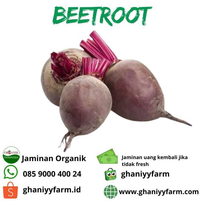 Jual Sayur Organik Bit Beetroot Organik 500 Gram | Shopee Indonesia