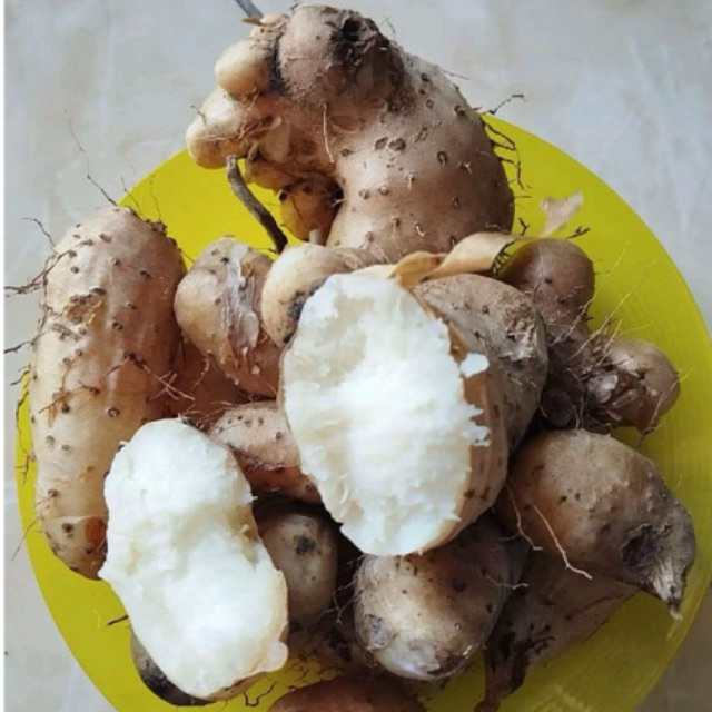 Jual UBI GEMBILI 1KG/UBI GEMBILI KETAN PULEN KENYAL/UBI GEMBILI MENTAH ...