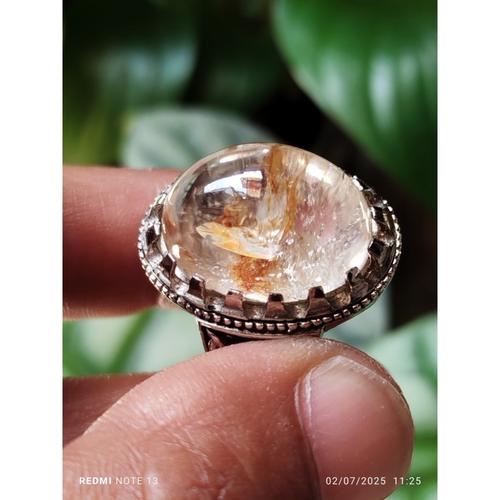 Jual kinyang karang kipas tunggal | Shopee Indonesia