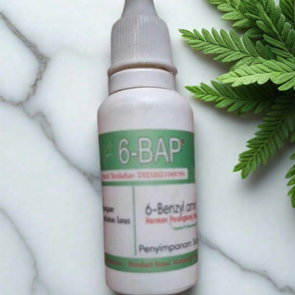 Jual Hormon anggrek 6 BAP Hijau | Shopee Indonesia