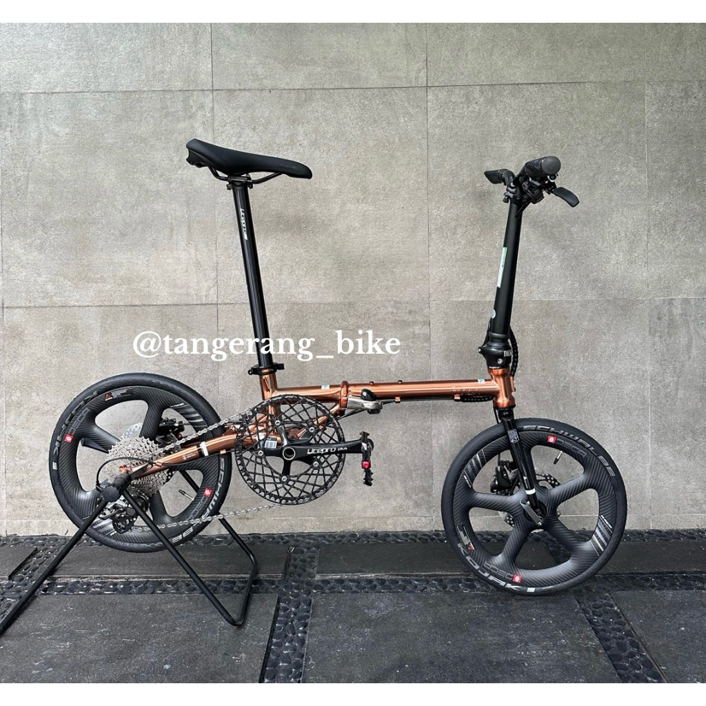 Jual Sepeda Fnhon Gust Discbrake 16 Inch Plus Premium Wheel Carbon ...