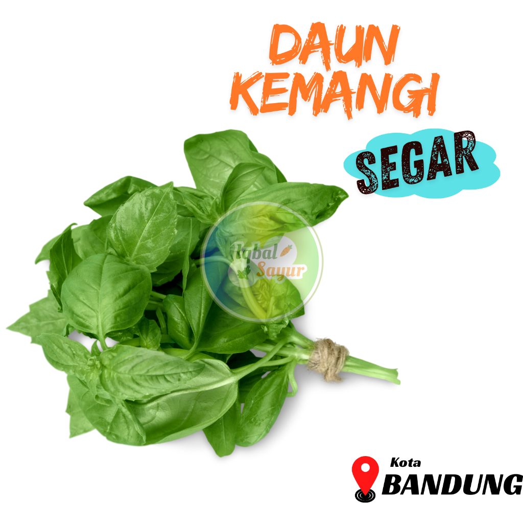 Jual Daun Kemangi / Surawung Segar 1 Ikat Bandung | Shopee Indonesia