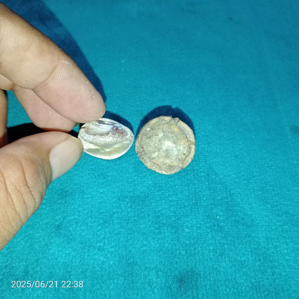 Jual tanah malayy temuan | Shopee Indonesia