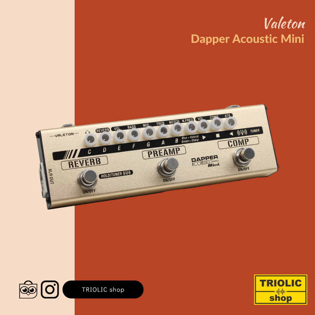 Jual Valeton Dapper Acoustic Mini | Shopee Indonesia