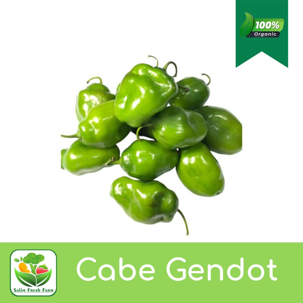 Jual Cabe gendot / Cabe gendot segar bandung / Cabe gendot hijau / Cabe ...