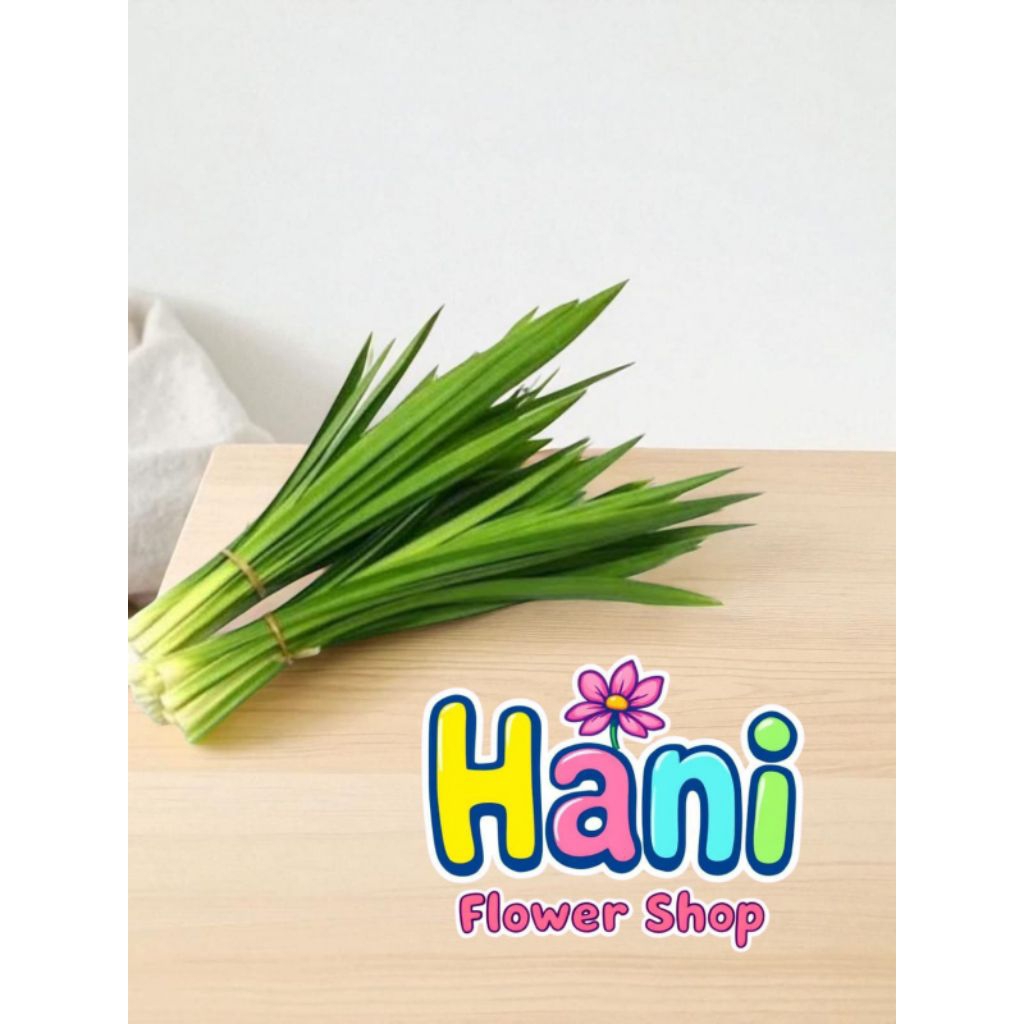Jual DAUN PANDAN ASLI WANGI SEGAR 1 IKAT | Shopee Indonesia