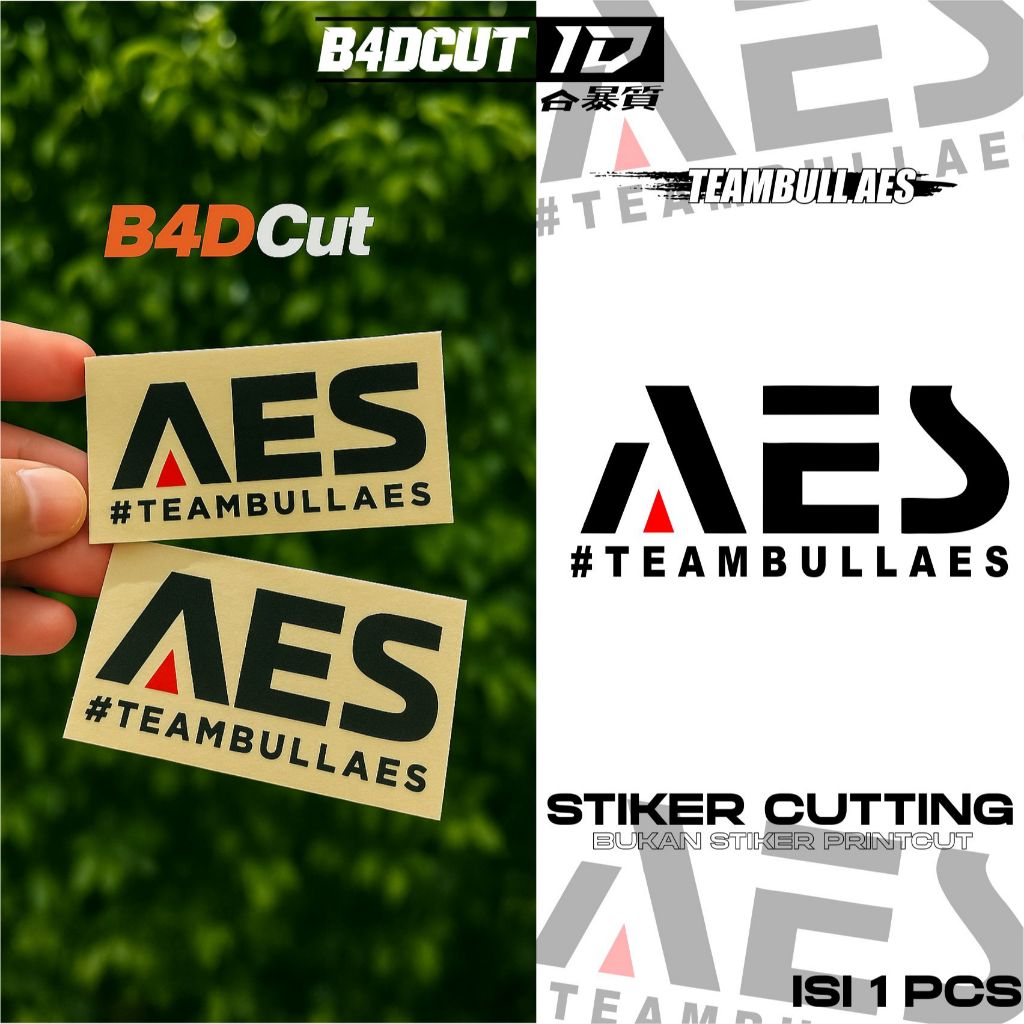 Jual Stiker Cutting AES TeamBullAES Reflective Sheet Aksesoris Motor ...