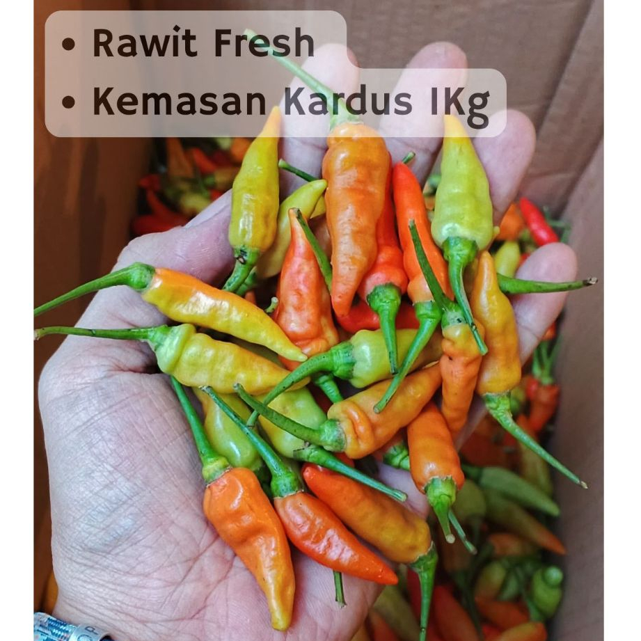 Jual 1Kg Cabai / cabe rawit merah 1kg cabe / cabai rawit fresh segar ...