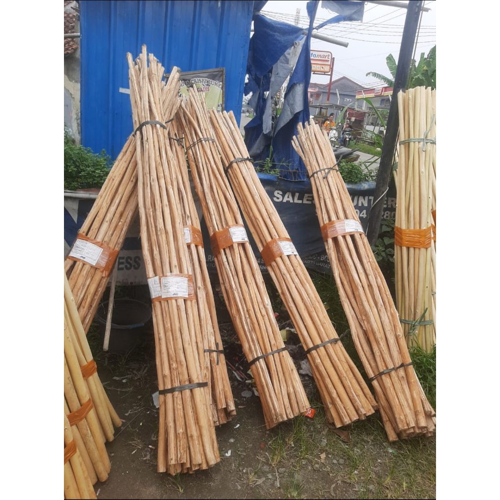 Jual Kayu Dolken Terlengkap & Harga Terbaru Juni 2026 | Shopee Indonesia