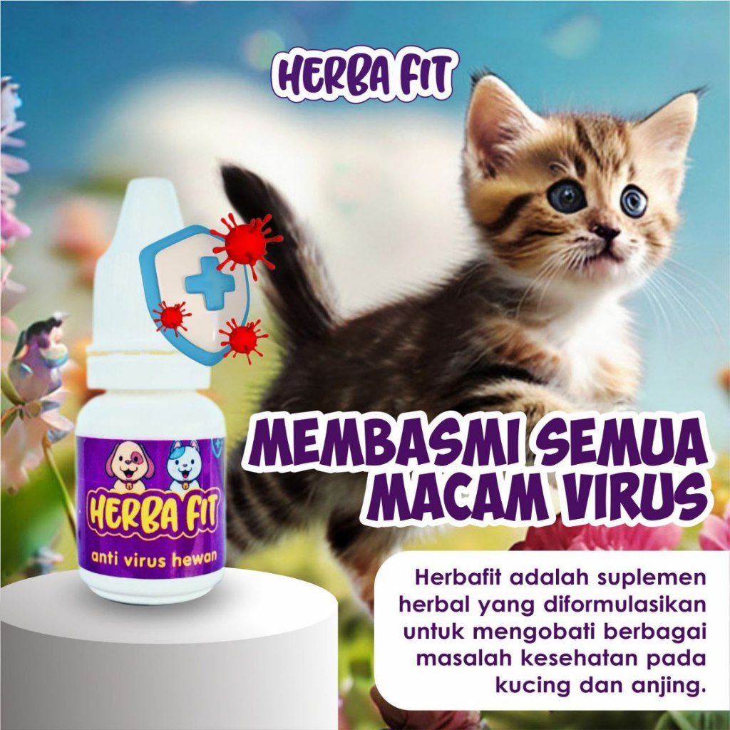 Jual Obat Flu Batuk Demam Pilek Kucing Anjing Anti Imunitas Paw ...