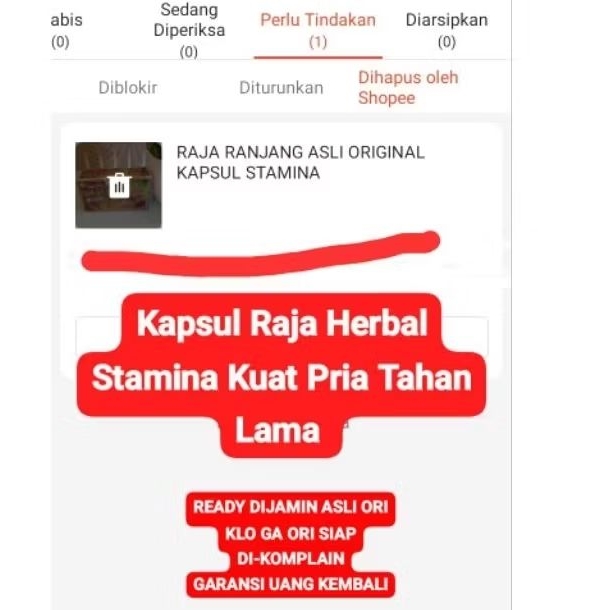 Jual KAPSUL RAJA HERBAL STAMINA KUAT PRIA TAHAN LAMA #RajaRanj4ng ...