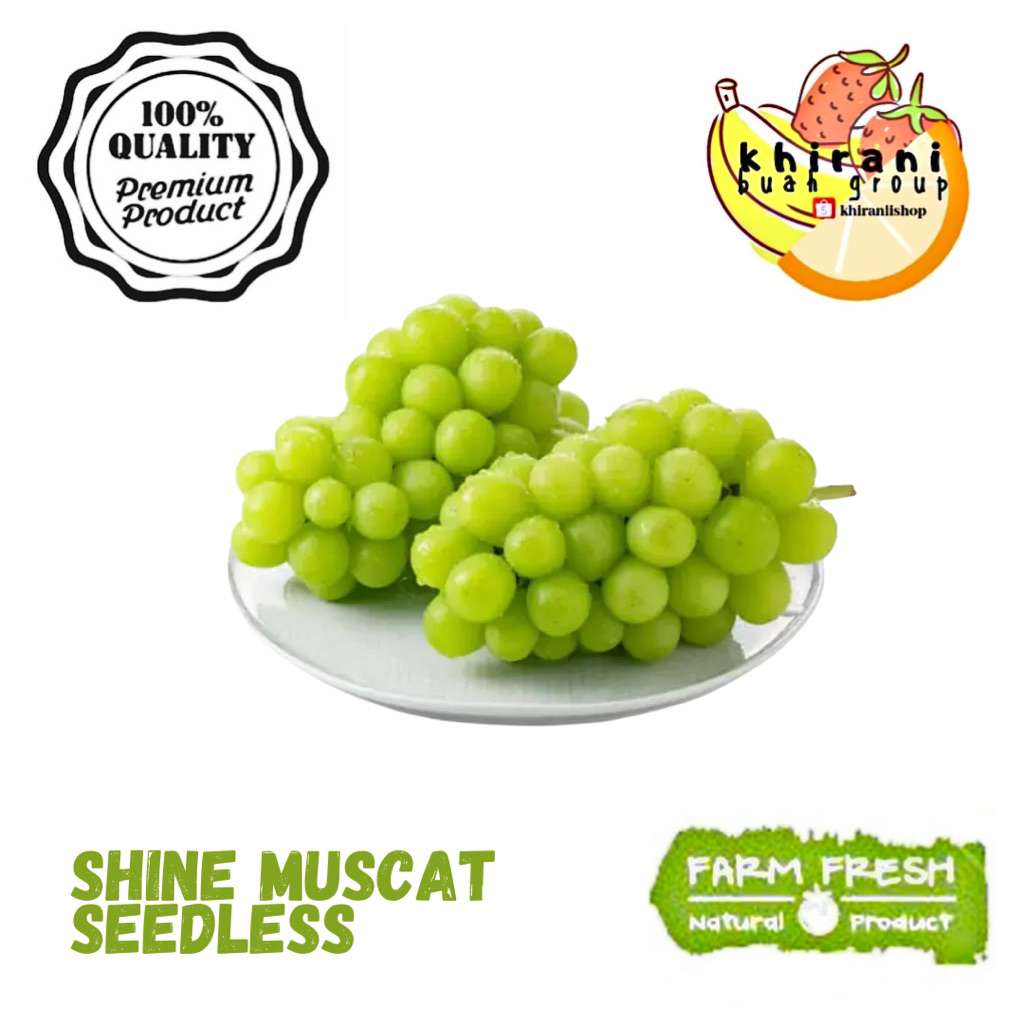 Jual Anggur Shine Muscat Seedless | Shopee Indonesia