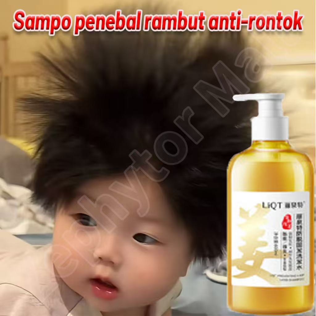 Jual Shampoo Penumbuh Rambut Cepat 500ml Shampoo Rontok Ginger Shampoo ...