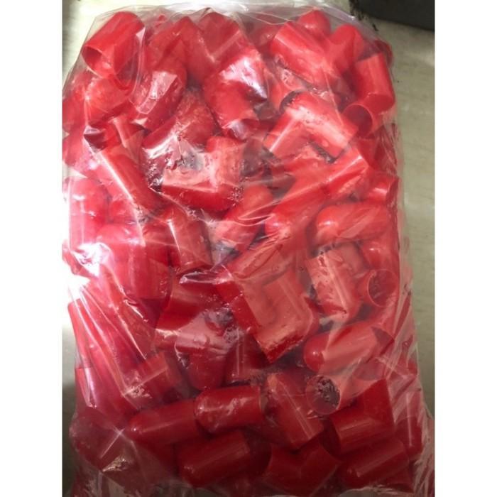 Jual pipa L merah pipa aquarium L merah pipa aquarium ( isi 10 pcs ...
