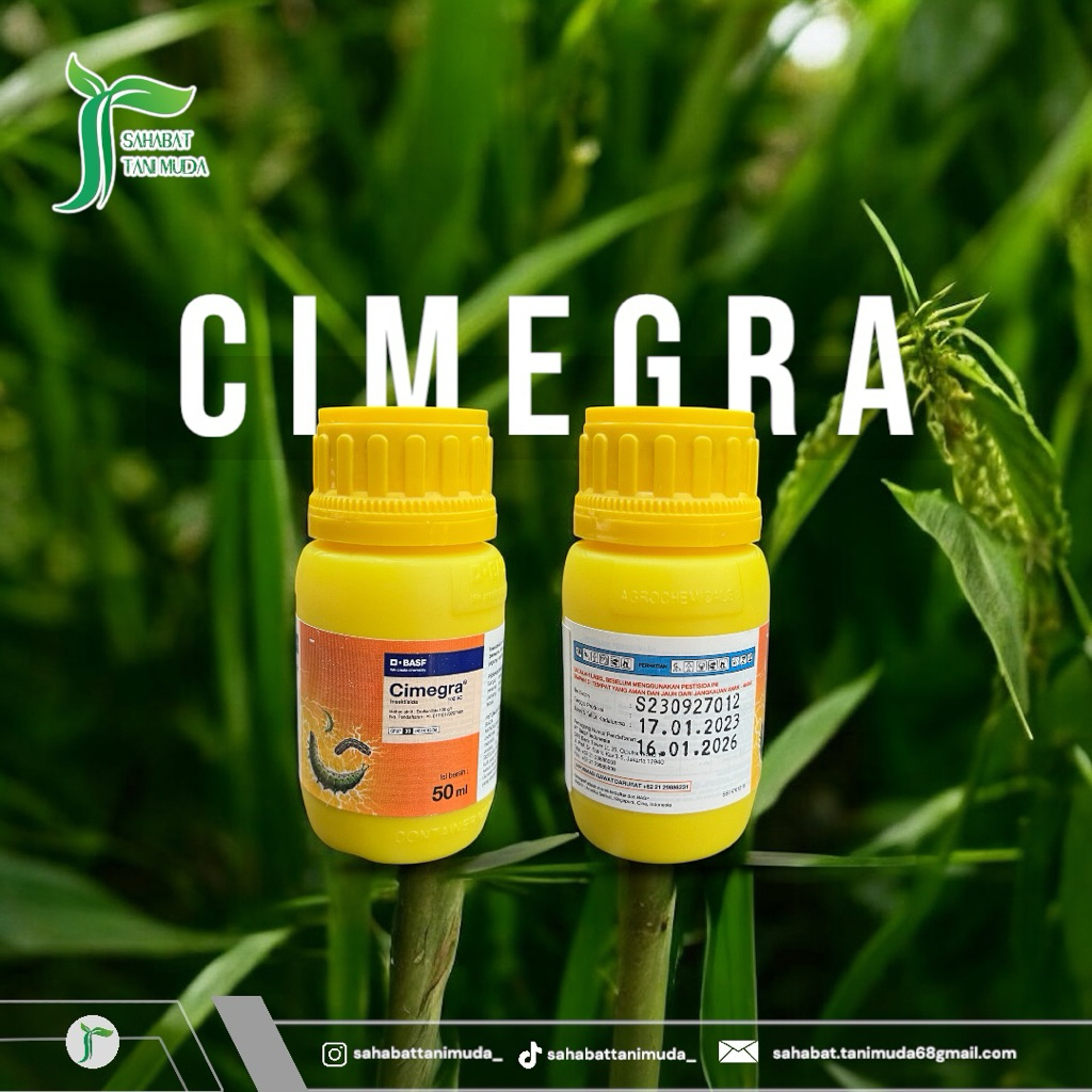 Jual Insektisida CIMEGRA 100 SC (ORIGINAL) | Shopee Indonesia