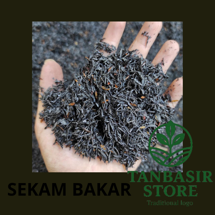 Jual 1 KG SEKAM BAKAR SIAP PAKAI COCOK BUAT MEDIA TANAM SAYURAN DAN ...
