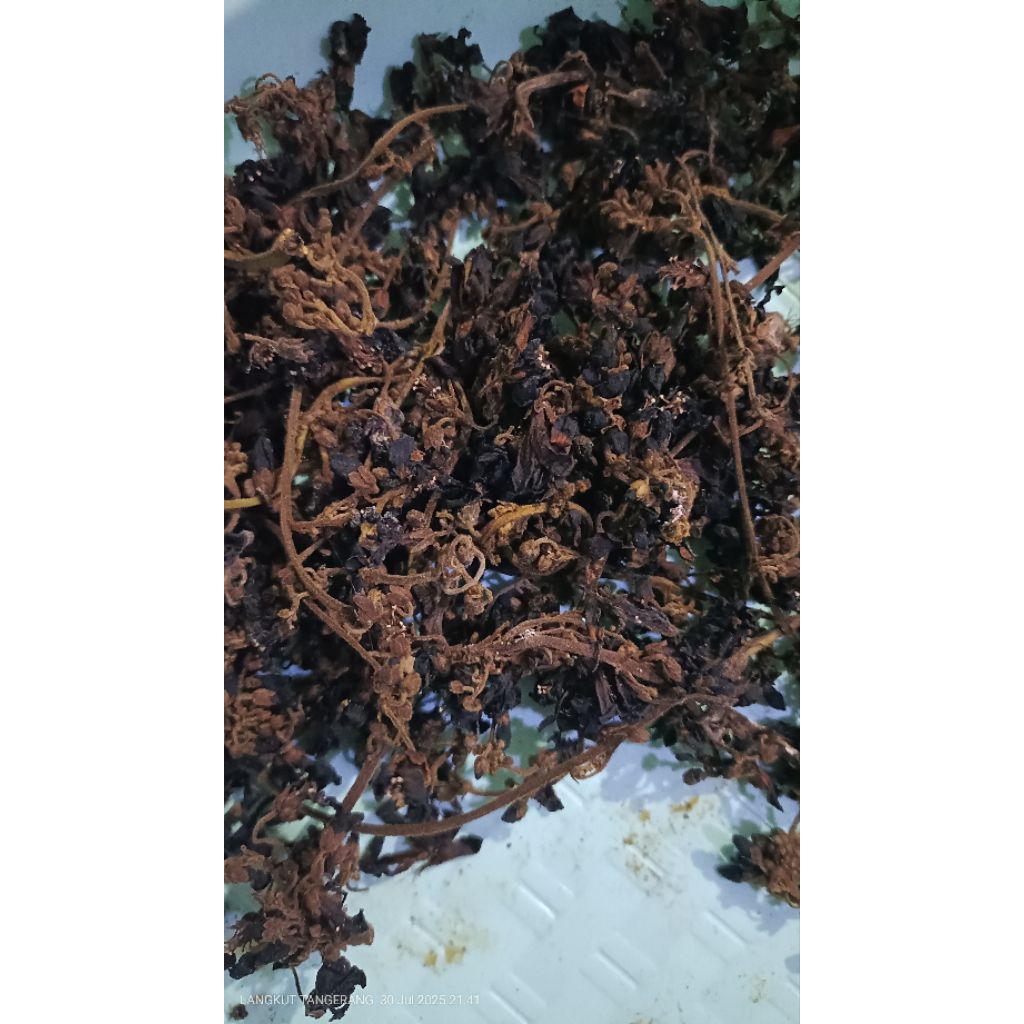 Jual Bunga Belimbing Wuluh Kering 10Gram | Shopee Indonesia