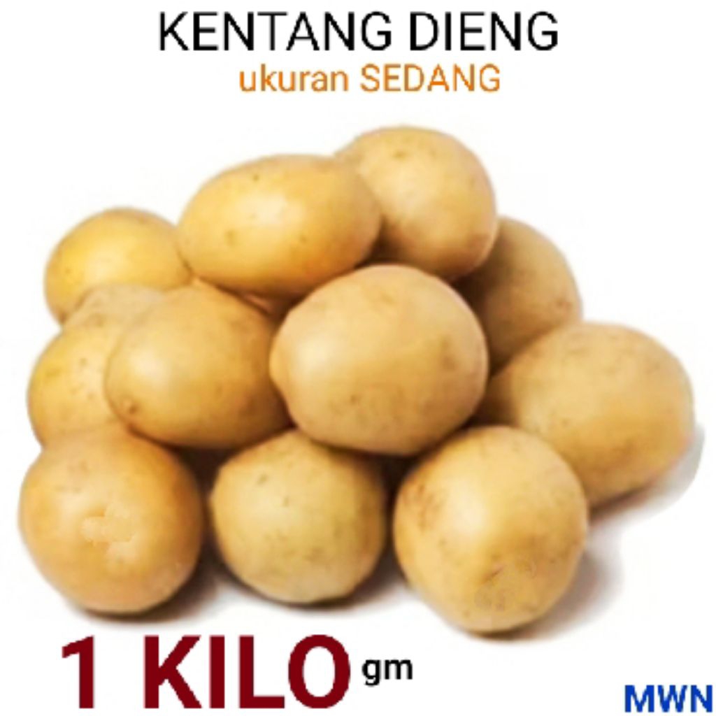 Jual ( 1 kg ) kentang dieng ukuran sedang | Shopee Indonesia