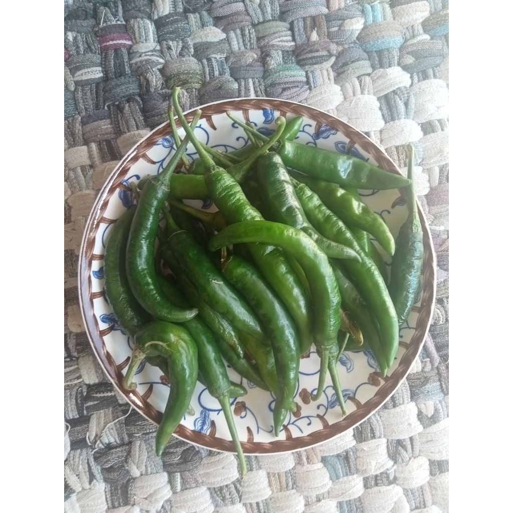Jual Cabe Hijau Besar TW Cabai Lombok Segar Fresh Kiloan 250gr 500gr ...