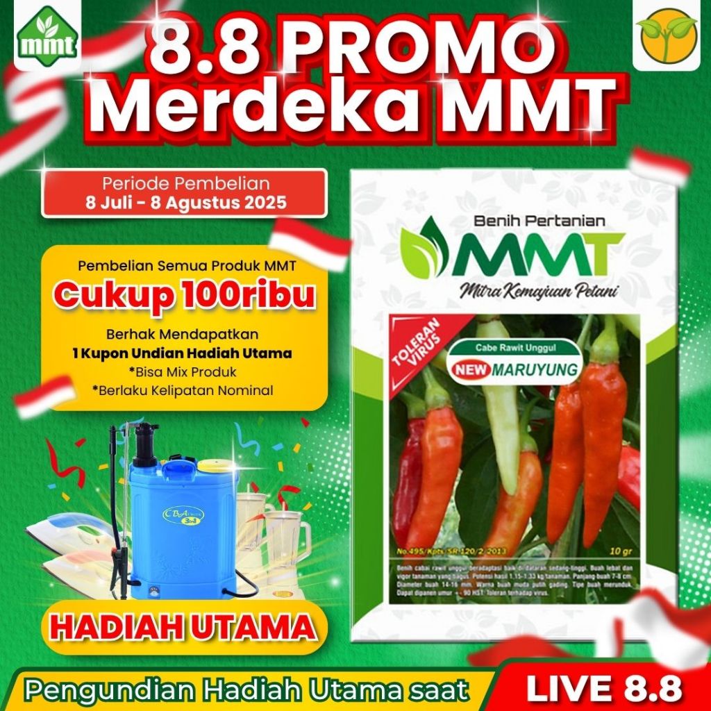 Jual BENIH CABAI RAWIT UNGGUL NEW MARUYUNG 10 GR MMT | Shopee Indonesia