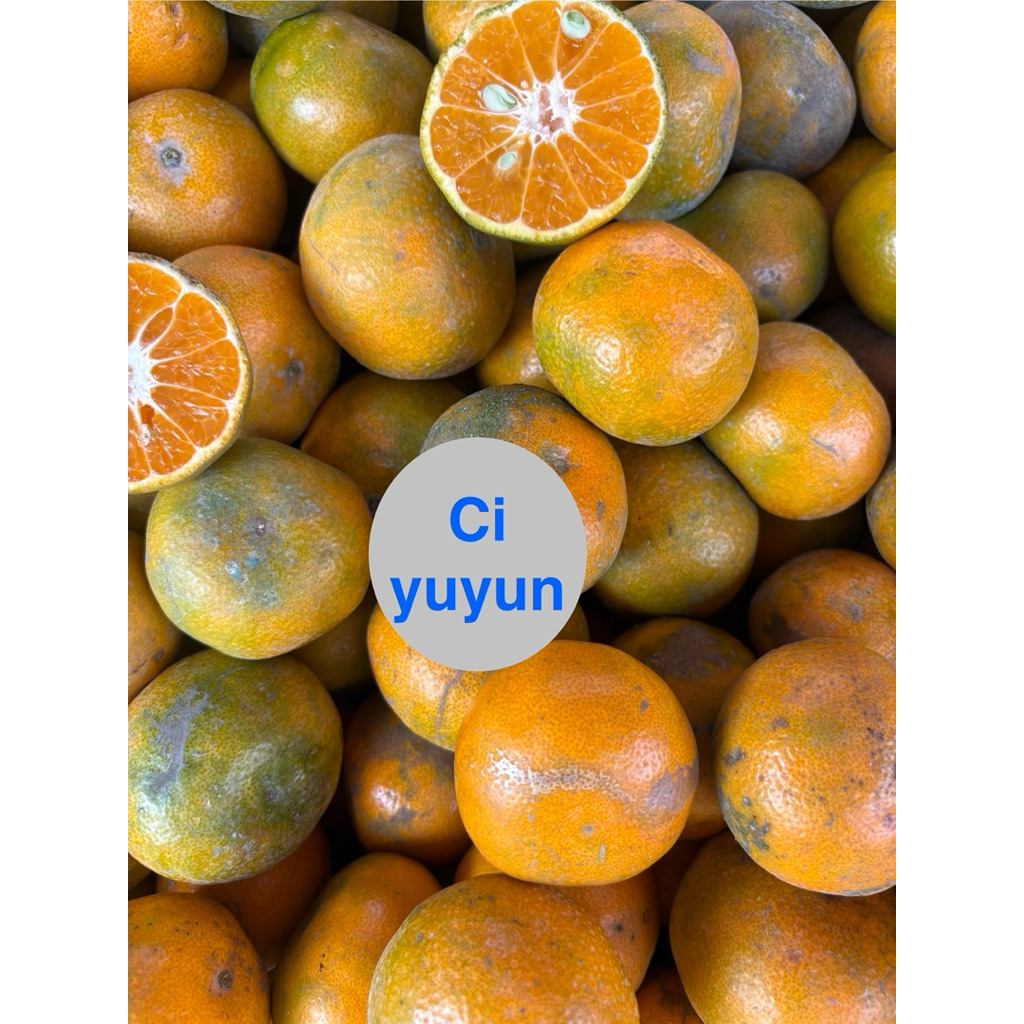 Jual Jeruk manis/jeruk berastagi/jeruk segar/jeruk kuning/jeruk siam ...