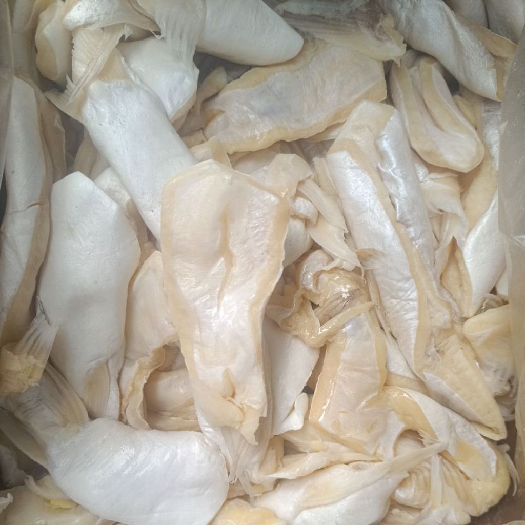 Jual ikan asin perut patin jorojoss | Shopee Indonesia