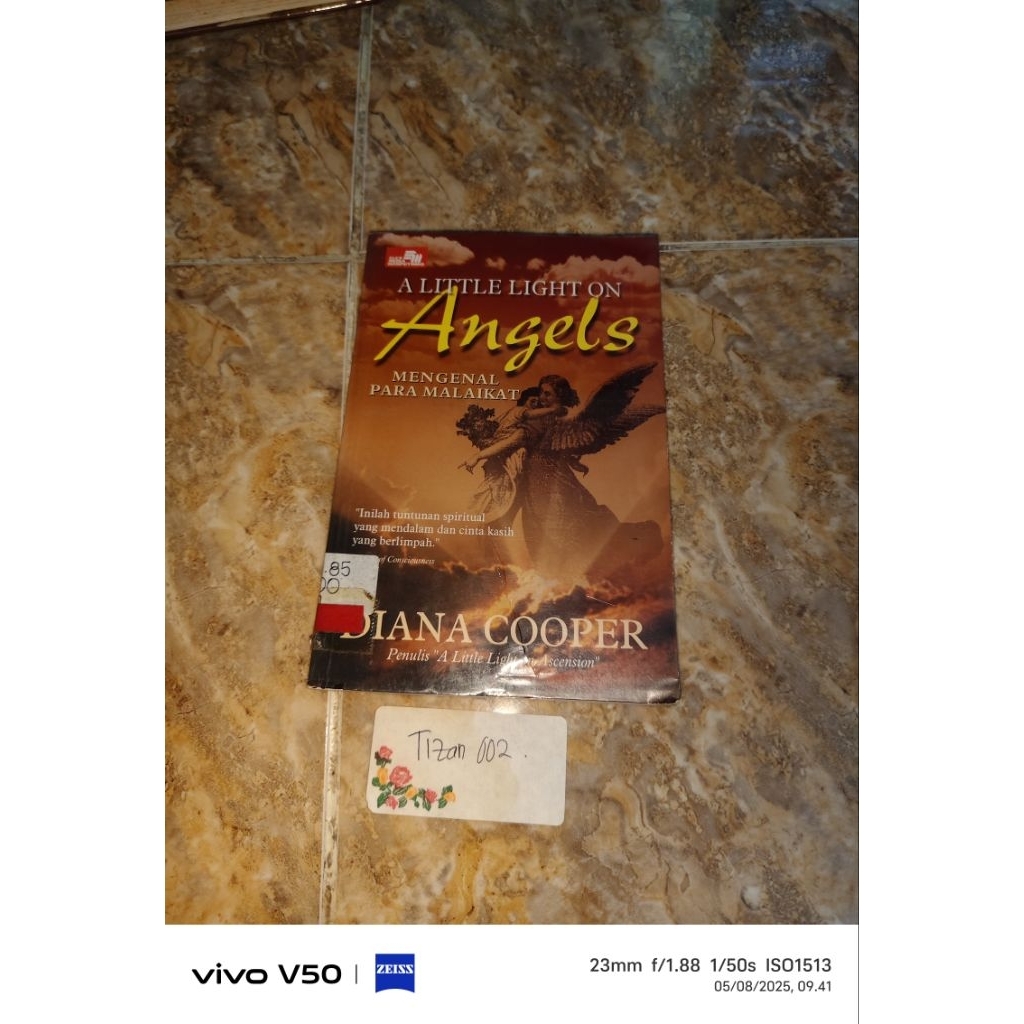 Jual Buku A little light on Angels mengenal para malaikat - Diana Cooper | Shopee Indonesia