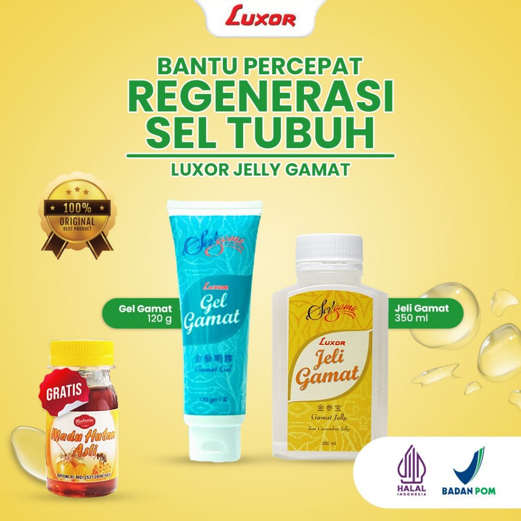 Jual Jelly Gamat Luxor 350ml + Gamat Gel Luxor 120gr Original Ekstrak ...