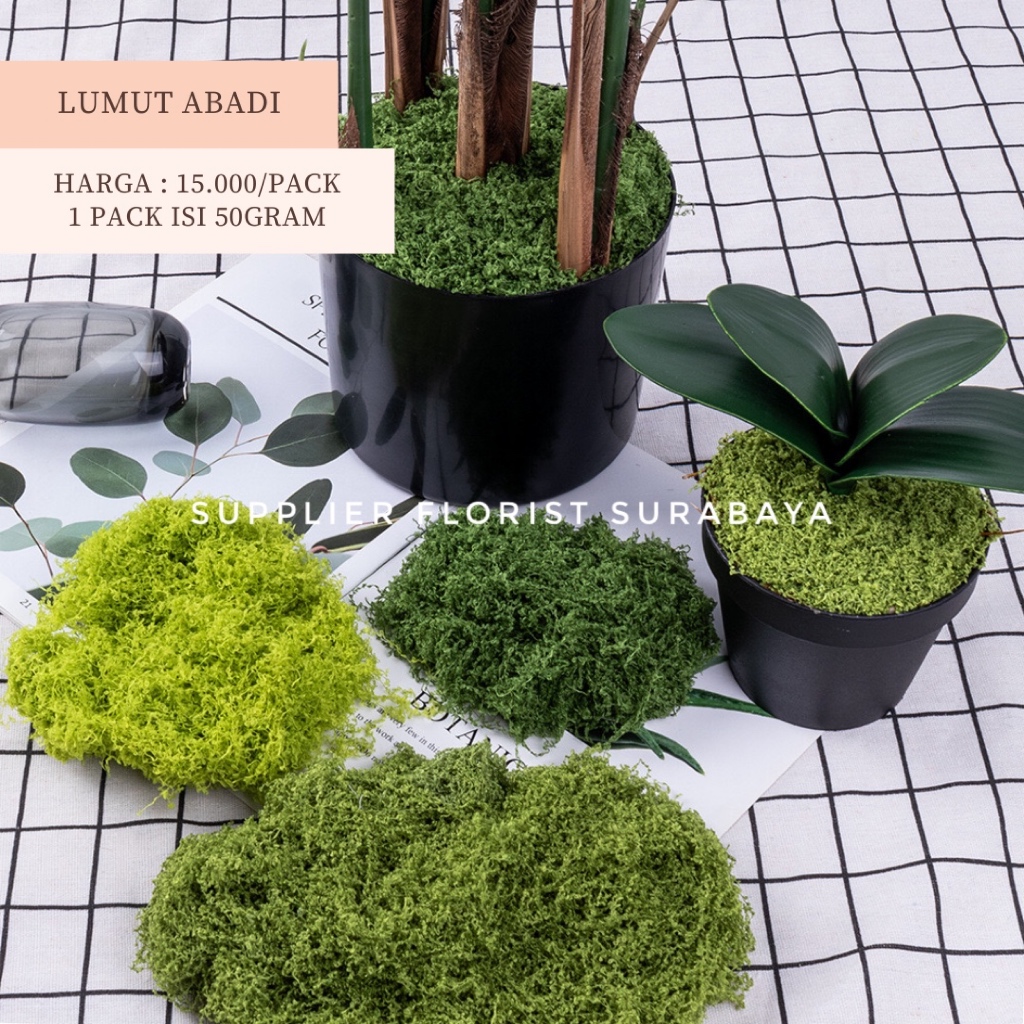 Jual [50 GRAM] LUMUT ABADI HIASAN POT BUNGA PALSU ARTIFICIAL FLOWER ...