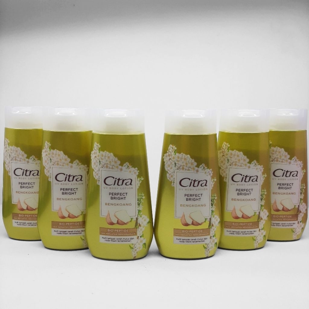 Jual ( 6 Pcs ) Citra Hand & Body Lotion Bengkoang 110 ml | Shopee Indonesia