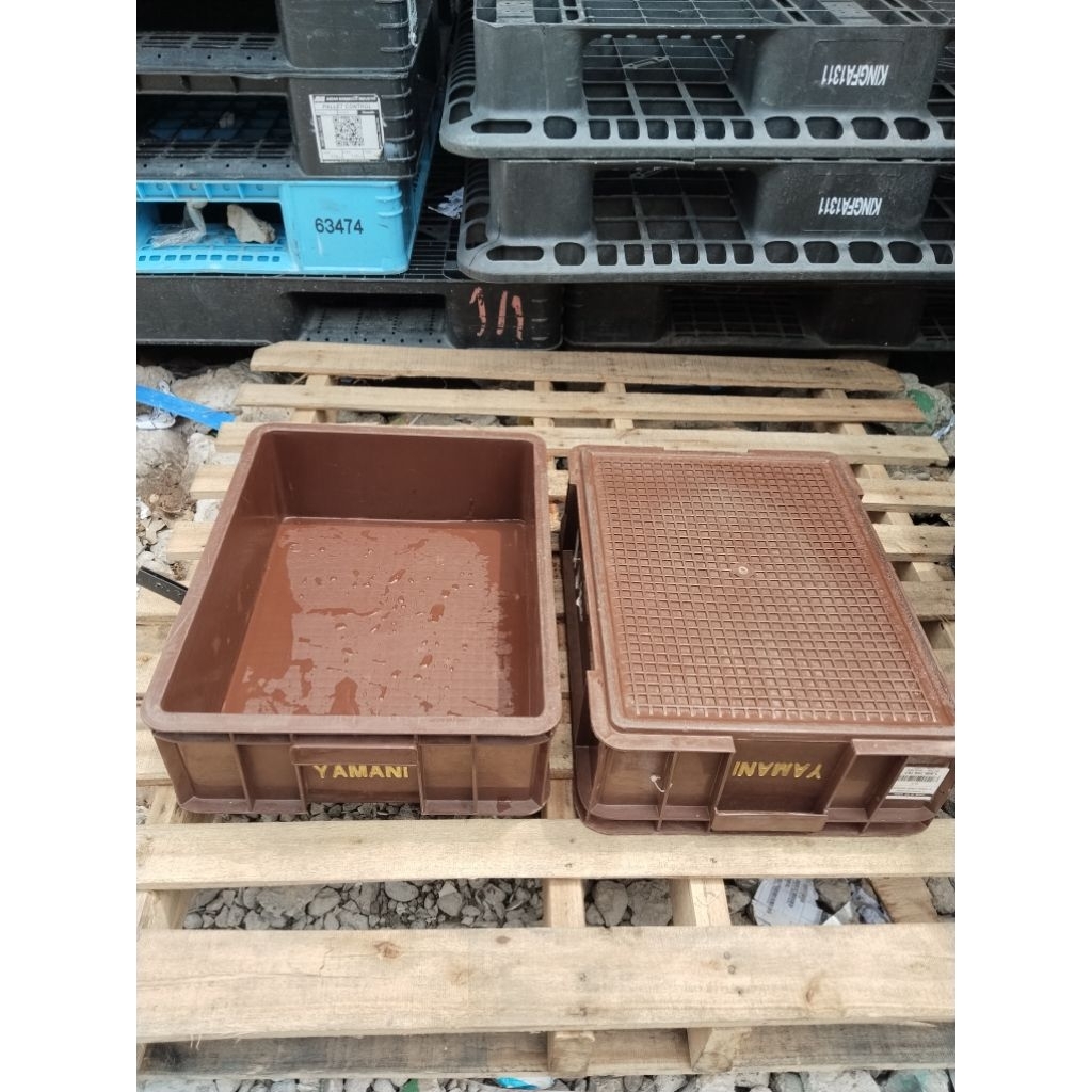 Jual box kecil type 6044 Uk. P. 45 L. 35 T. 14cm (bok ikan cupang/hias ...