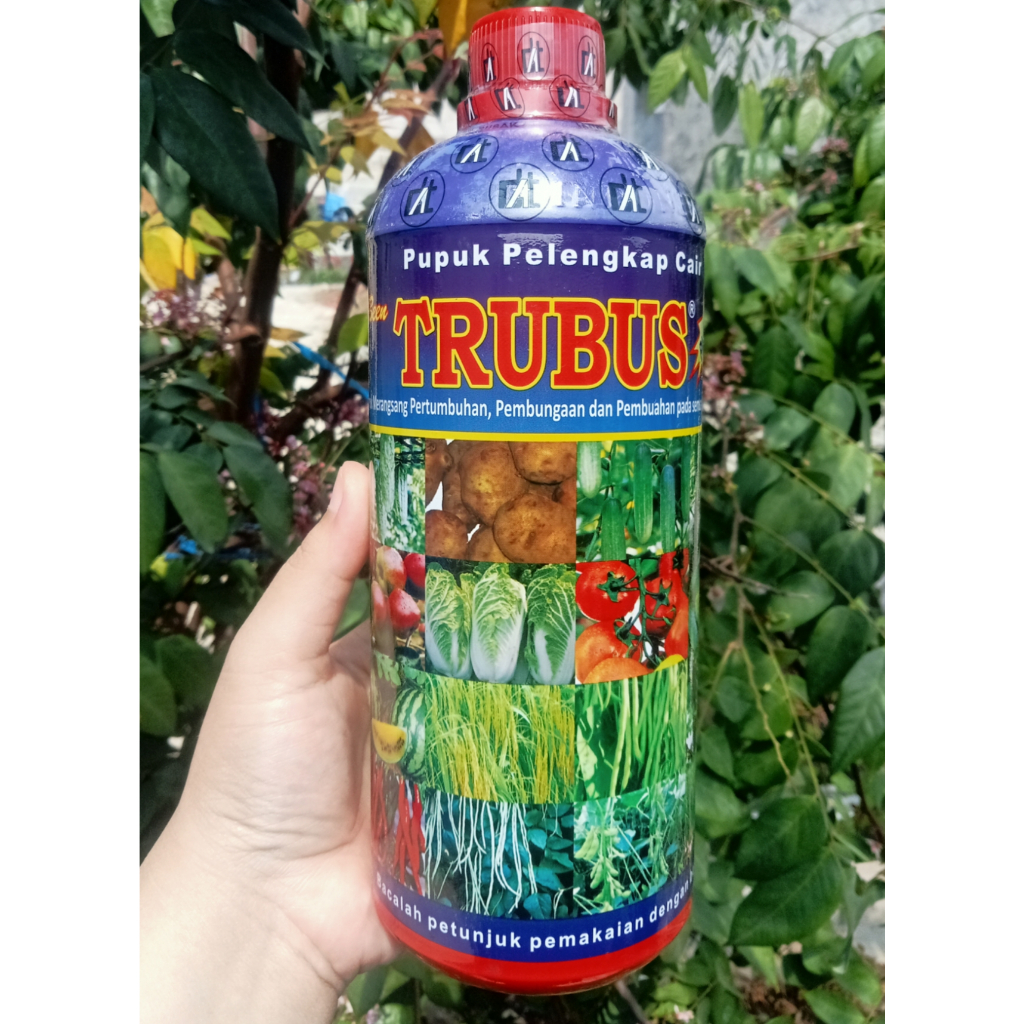 Jual Pupuk Pelengkap Cair BEEN TRUBUS plus ZPT 1000ml merangsang ...