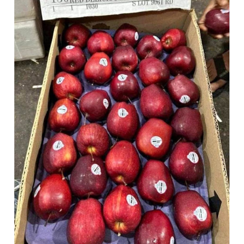 Jual APEL MERAH PREMIUM ( 900gr - 1kg ) | Shopee Indonesia