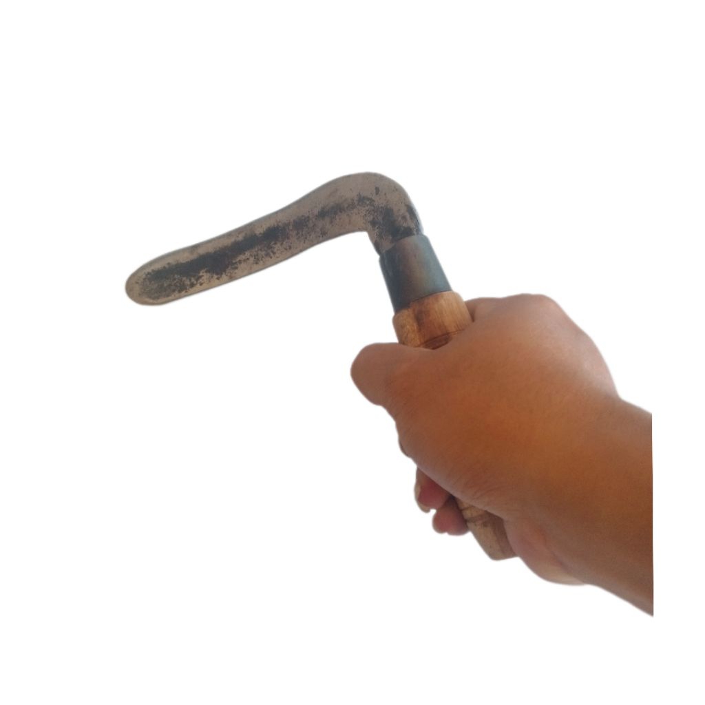 Jual alat cukit/congkelan kelapa bagan kuat dan kokoh praktis nyaman di ...