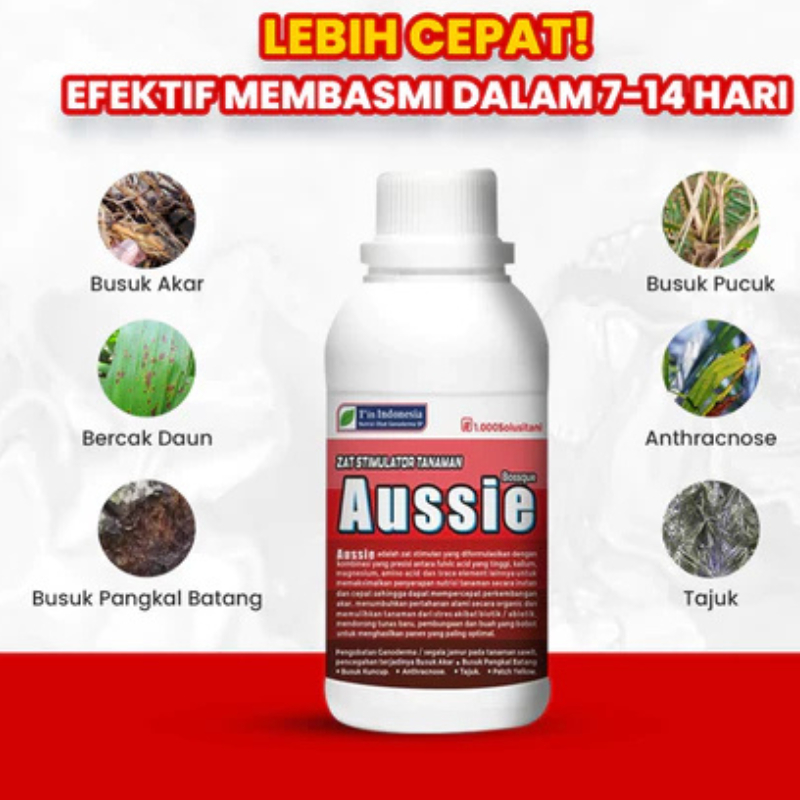 Jual AUSSIE 1L Obat Ganoderma Tanaman Sawit - Membasmi Spora Ganoderma ...