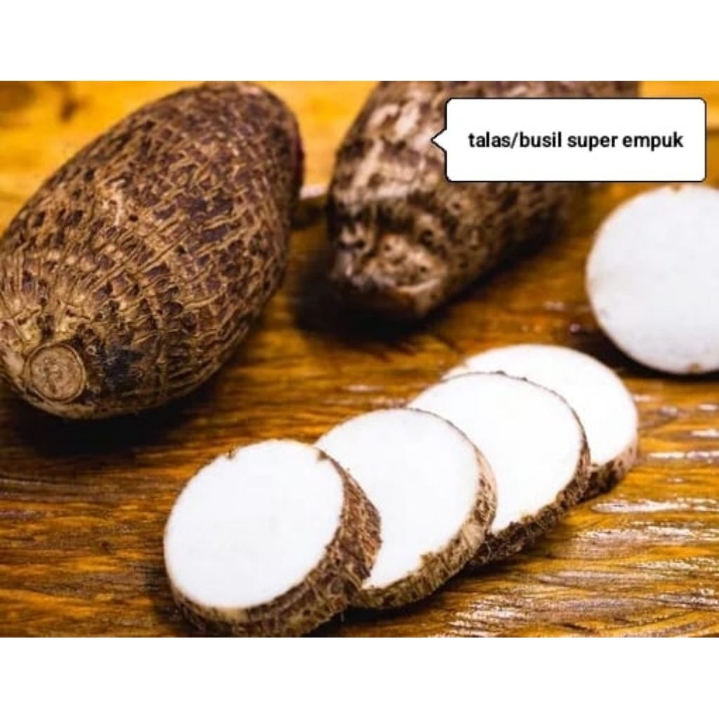 Jual talas/busil super empuk 1 kg | Shopee Indonesia