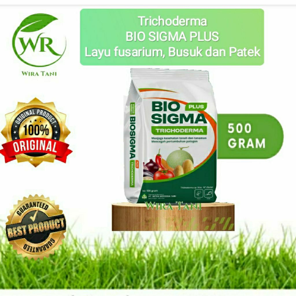Jual Bio sigma Plus 500Gr Trichoderma atasi layu fusarium, busuk dan ...