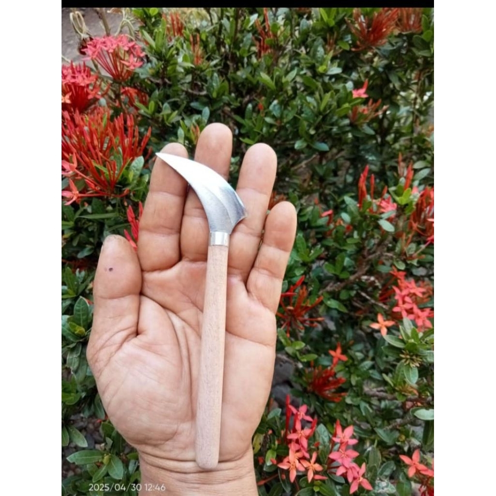 Jual pisau raut mini multifungsi baja asli super tajam,,pisau raut ...
