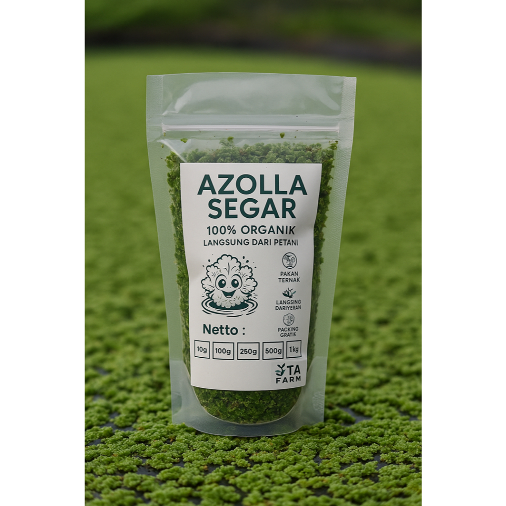 Jual Bibit Azolla Microphylla Pakan Ikan Lele, Nila, Ayam, Bebek ...