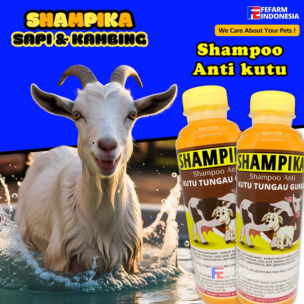 Jual Shampoo Anti kutu Tungau Gurem Pada Ternak Sapi Kambing FEFARM ...