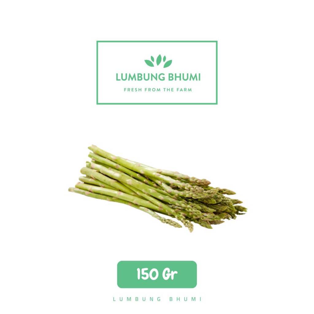 Jual Asparagus Sayur 150 Gr - Lumbung Bhumi | Shopee Indonesia