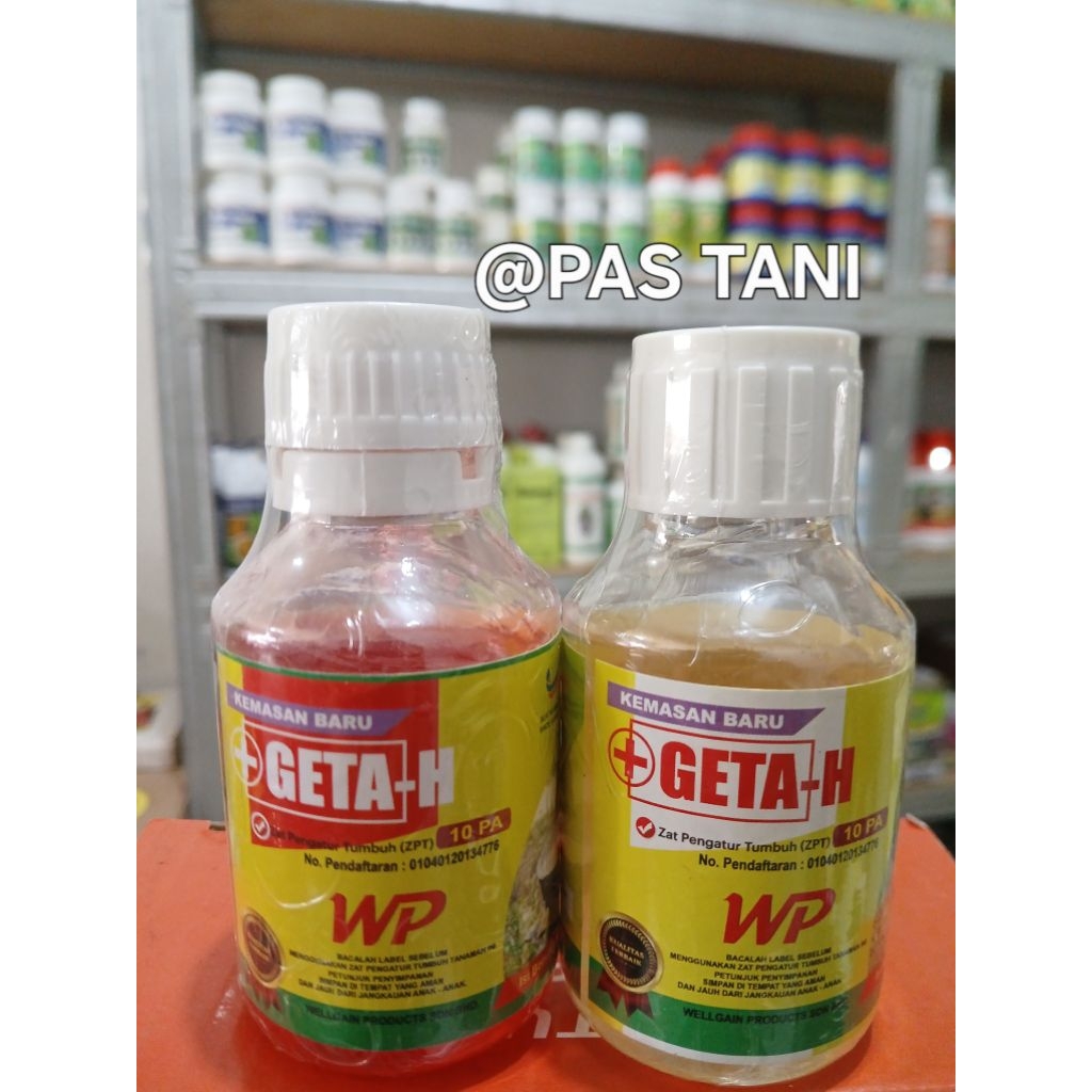 Jual GETAH WP 10PA MERAH & PUTIH ISI 100ML ZPT VITAMIN OBAT OLES KARET ...