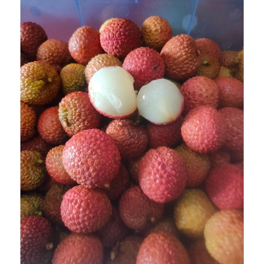 Jual Leci / Lychee Madu / Buah Buahan Segar Ready On Mallahrizwa ...