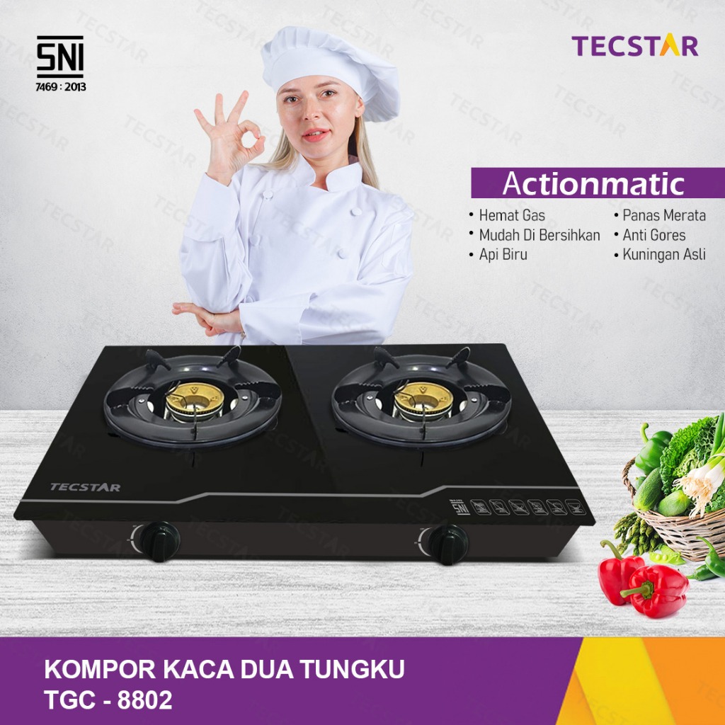 Jual TECSTAR Kompor Gas Api Biru Kaca 2 Tungku TGC-8802 Actionmatic SNI ...