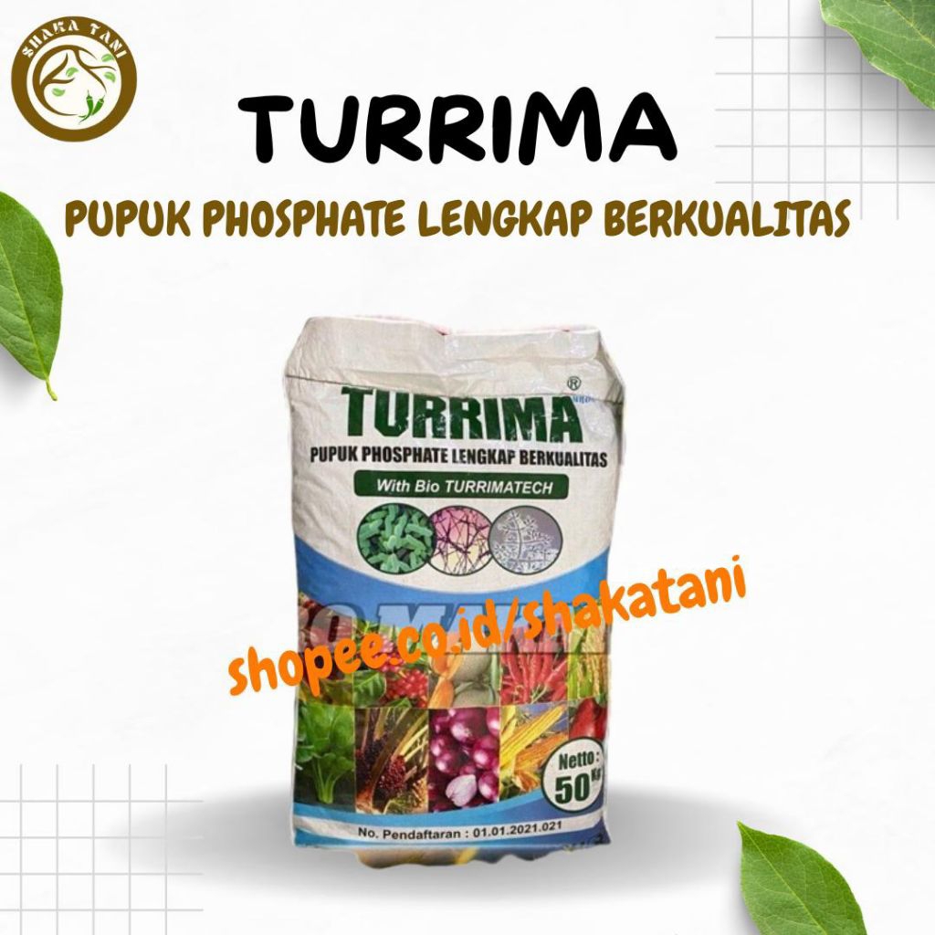 Jual Pupuk Phospat Turrima ( Pupuk Tabur Di Bedengan Sebelum Tutup ...