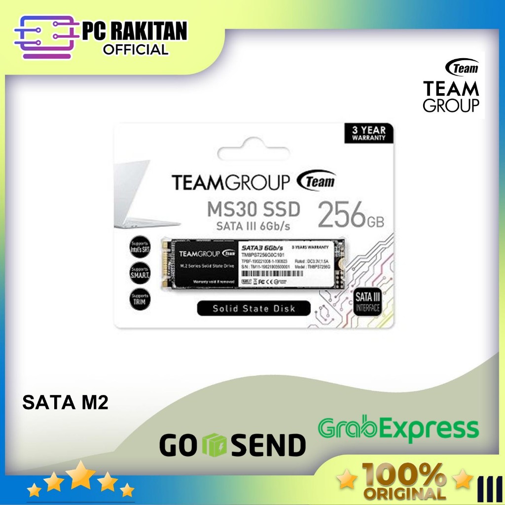 Jual TEAM SSD M.2 SATA 2280 256GB - MS30 5Y - UP TO 500 MB/S | Shopee ...