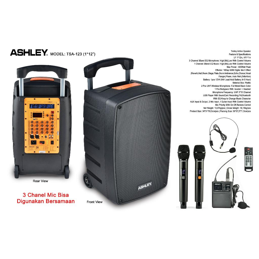 Jual SPEAKER AKTIF PORTABLE ASHLEY TSA123 TSA 123 2 MIC PEGANG 1 MIC ...