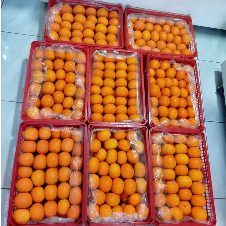 Jual Jeruk Wokam /Wogan/Wogam Fresh Manis Premium | Shopee Indonesia