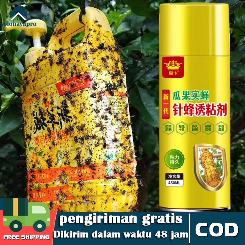 Jual 260ML/450ML Lem Perekat Perangkap Serangga Terbang Lalat Buah ...